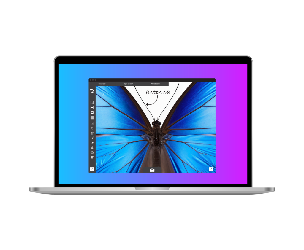 Visualizer - insphere